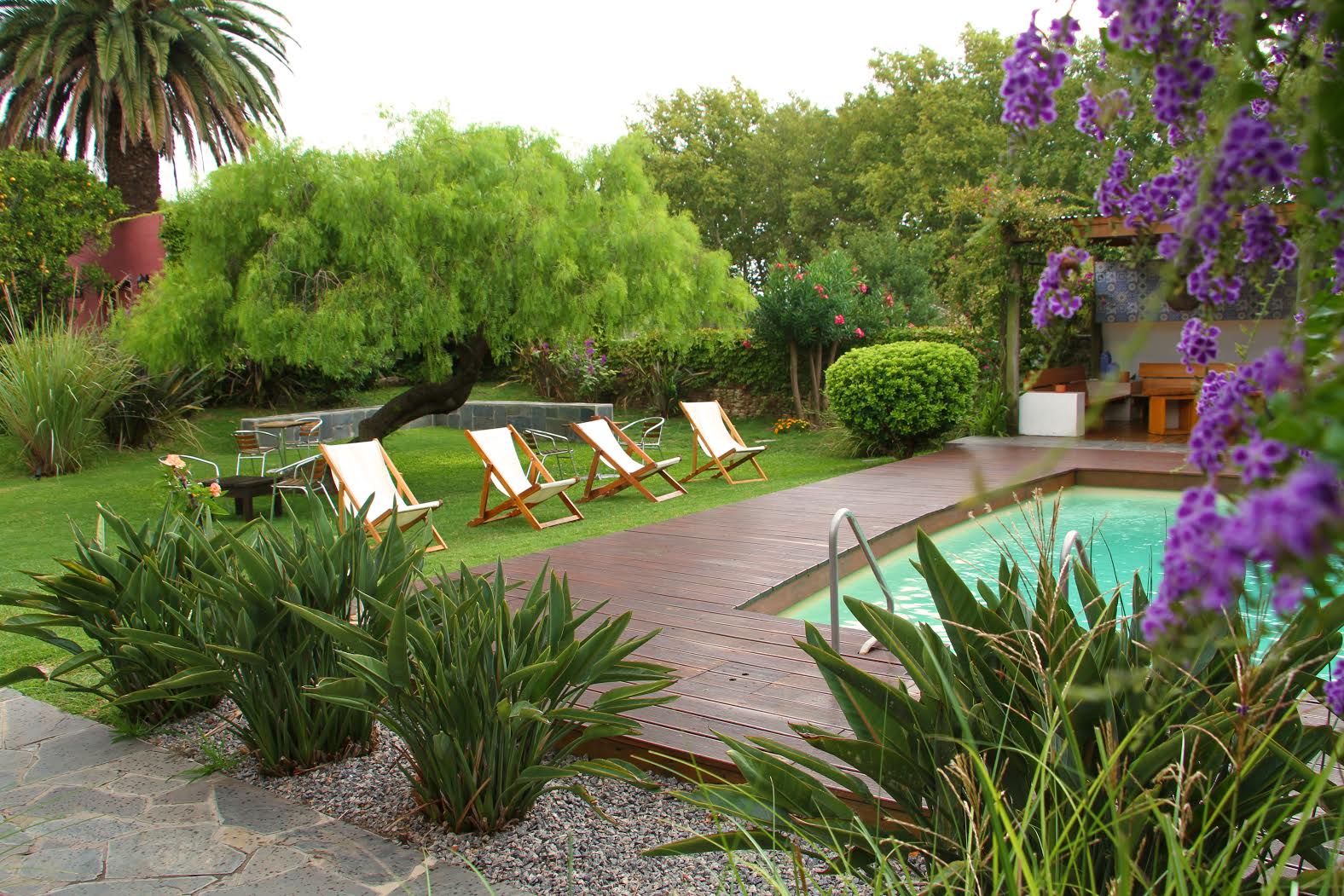 El Capullo - Posada Colonia Uruguay